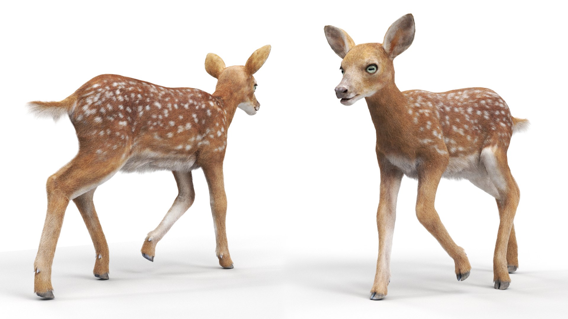 deer jumping animation