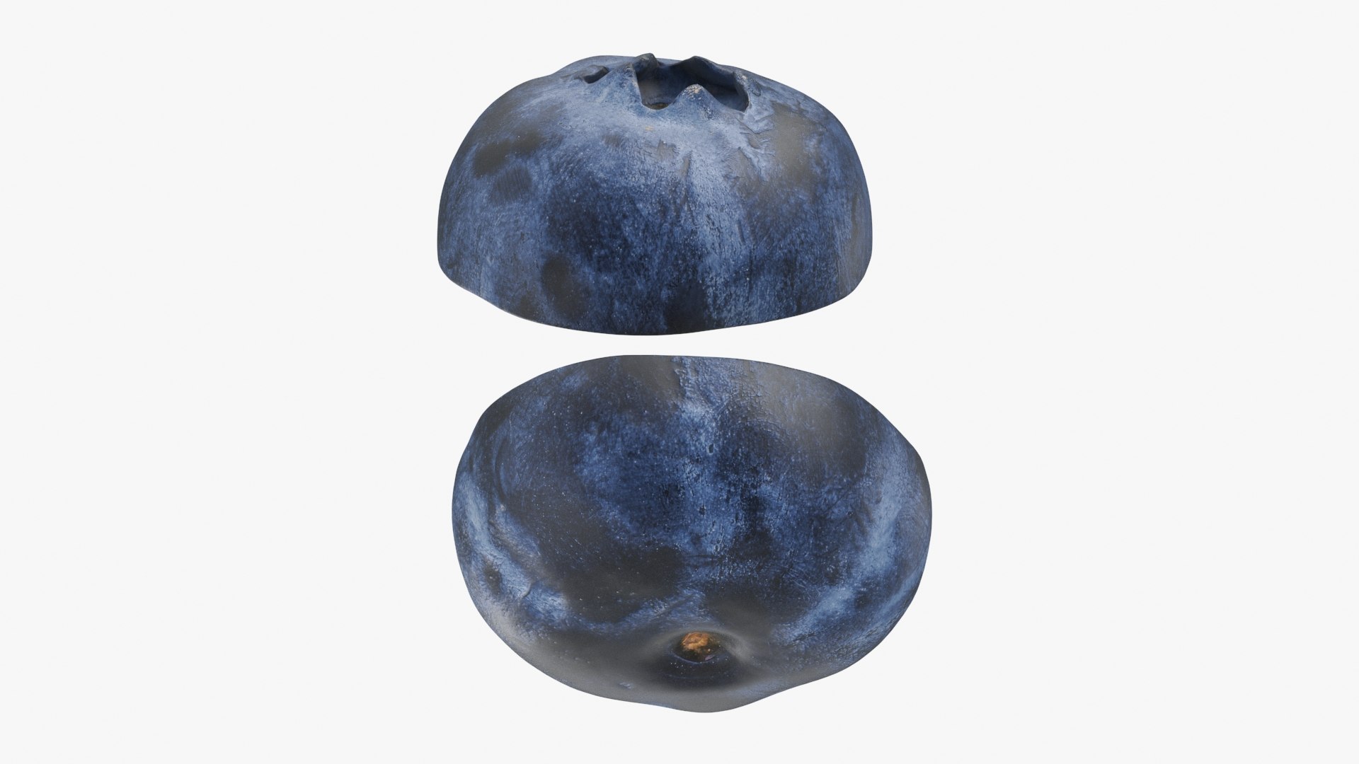 Blueberry 01 Cut Half Model - TurboSquid 2214863