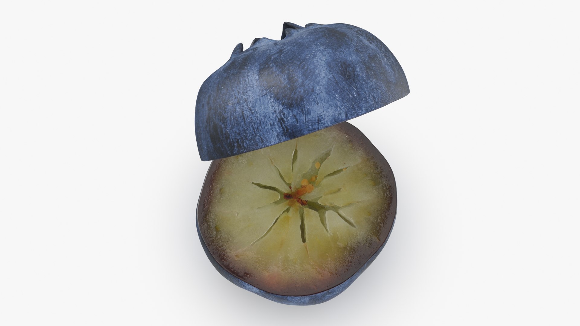 Blueberry 01 Cut Half Model - TurboSquid 2214863