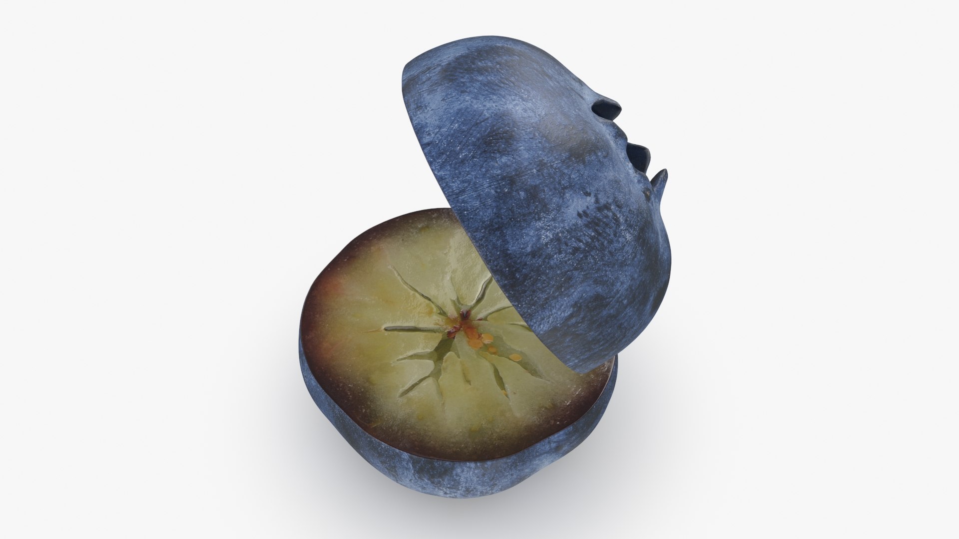 Blueberry 01 Cut Half Model - TurboSquid 2214863