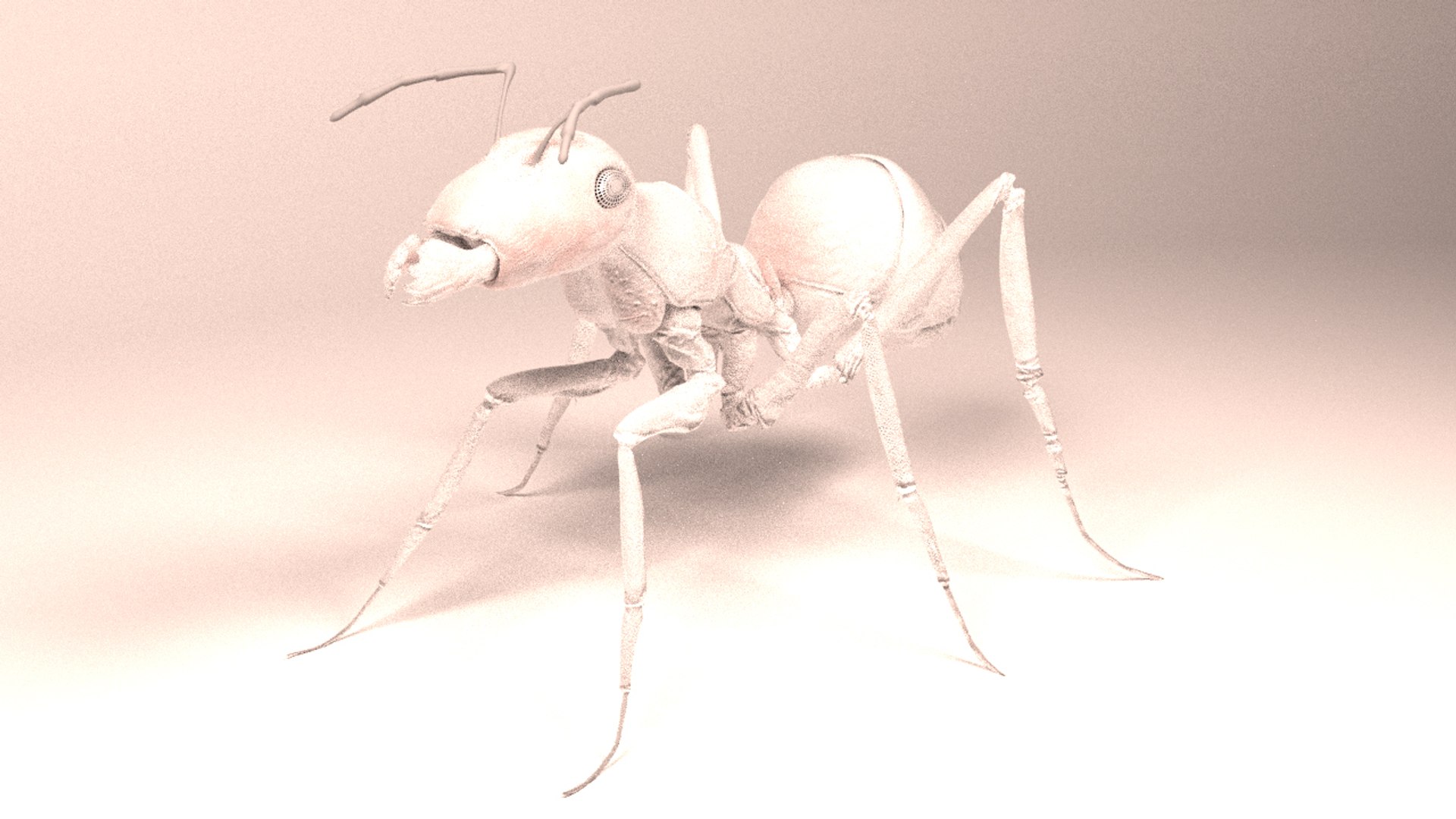 Ant model - TurboSquid 1042167