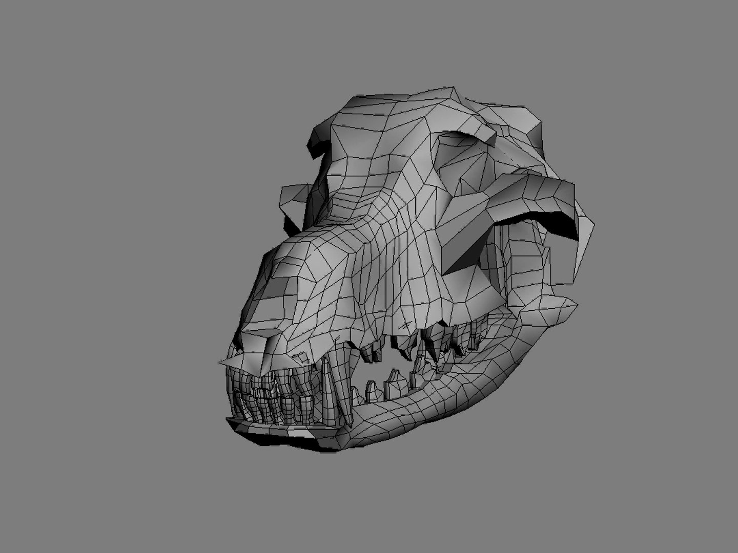 Canine skeleton bones animation model - TurboSquid 1404584