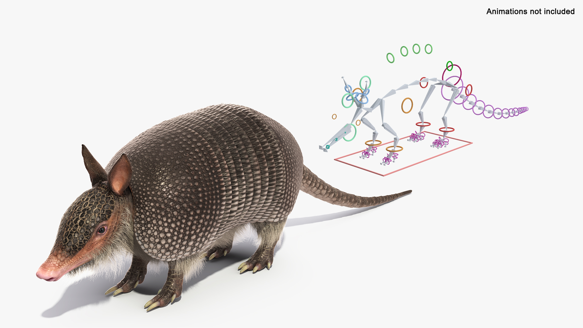 3D Armadillo Black Fur Rigged - TurboSquid 2248822