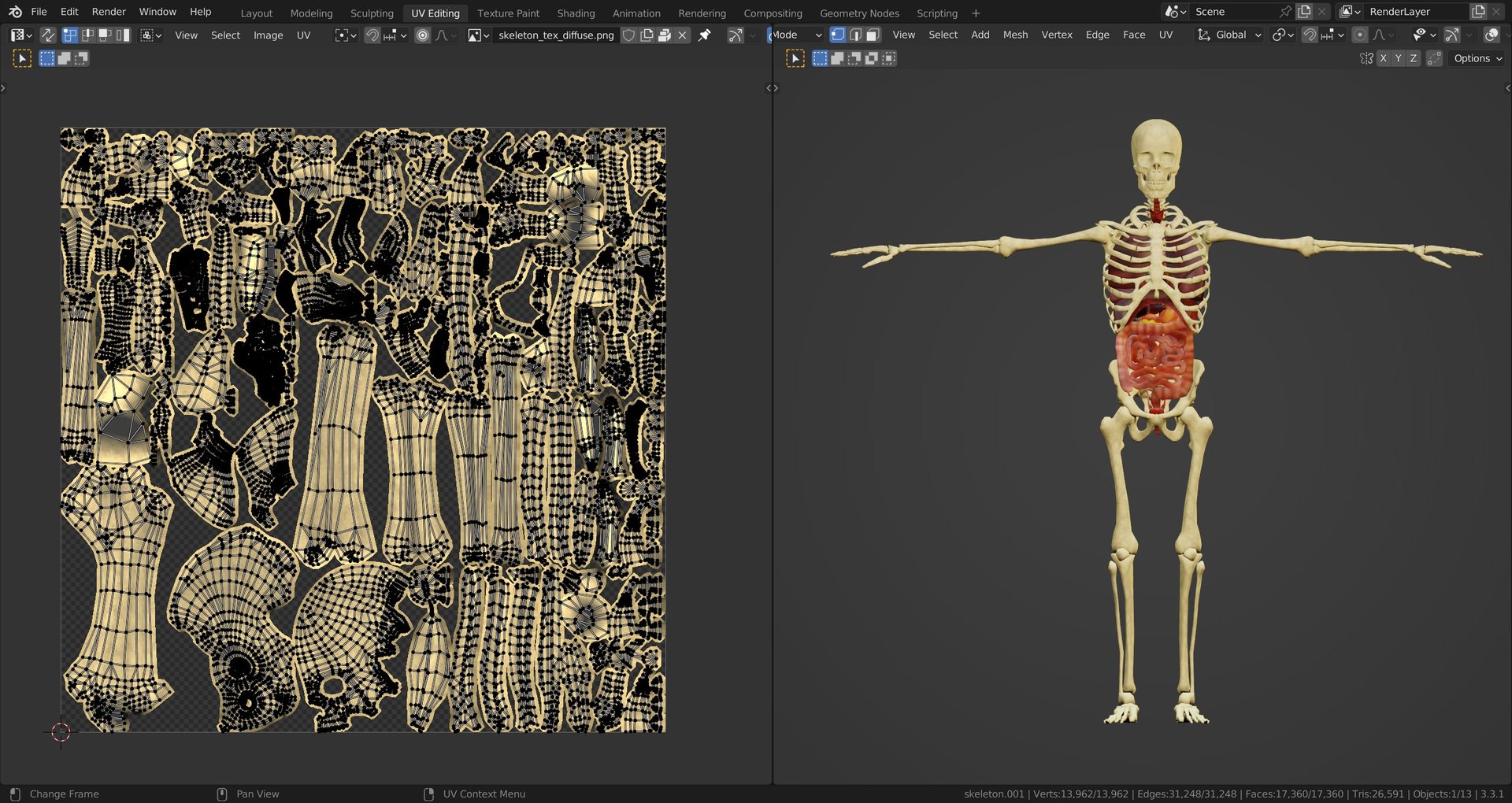 3D Low Poly Human Anatomy Model - TurboSquid 2079513