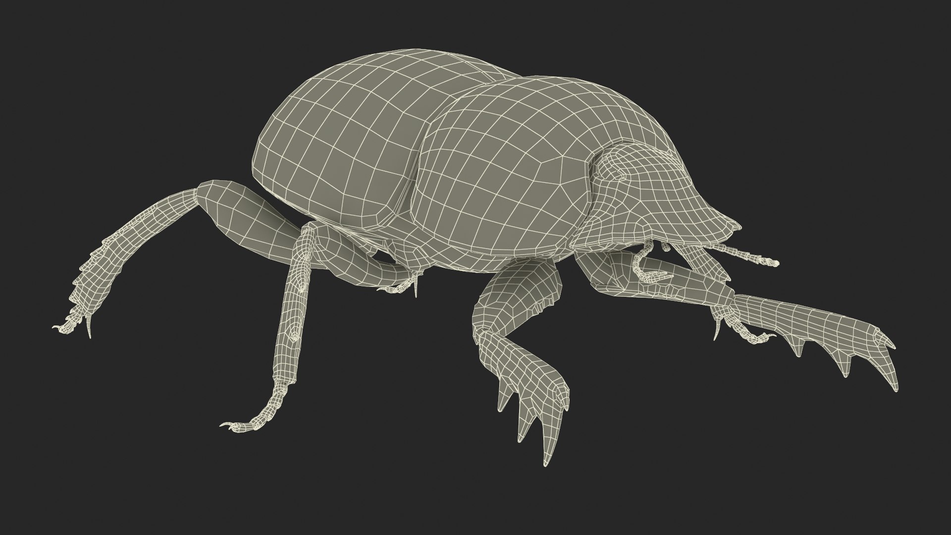 Roller Beetle Rigged 3D Model - TurboSquid 2302784