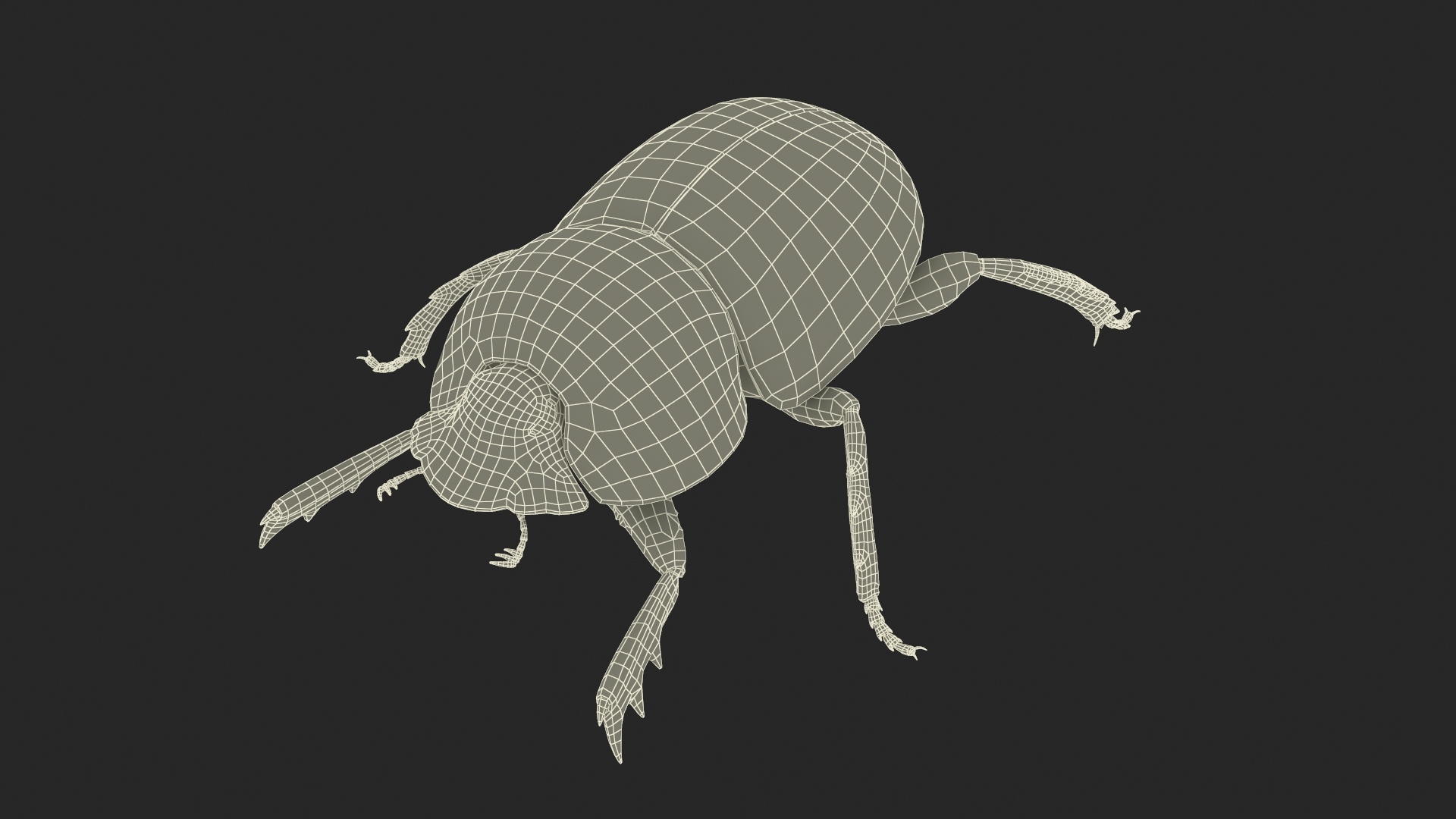 Roller Beetle Rigged 3D Model - TurboSquid 2302784