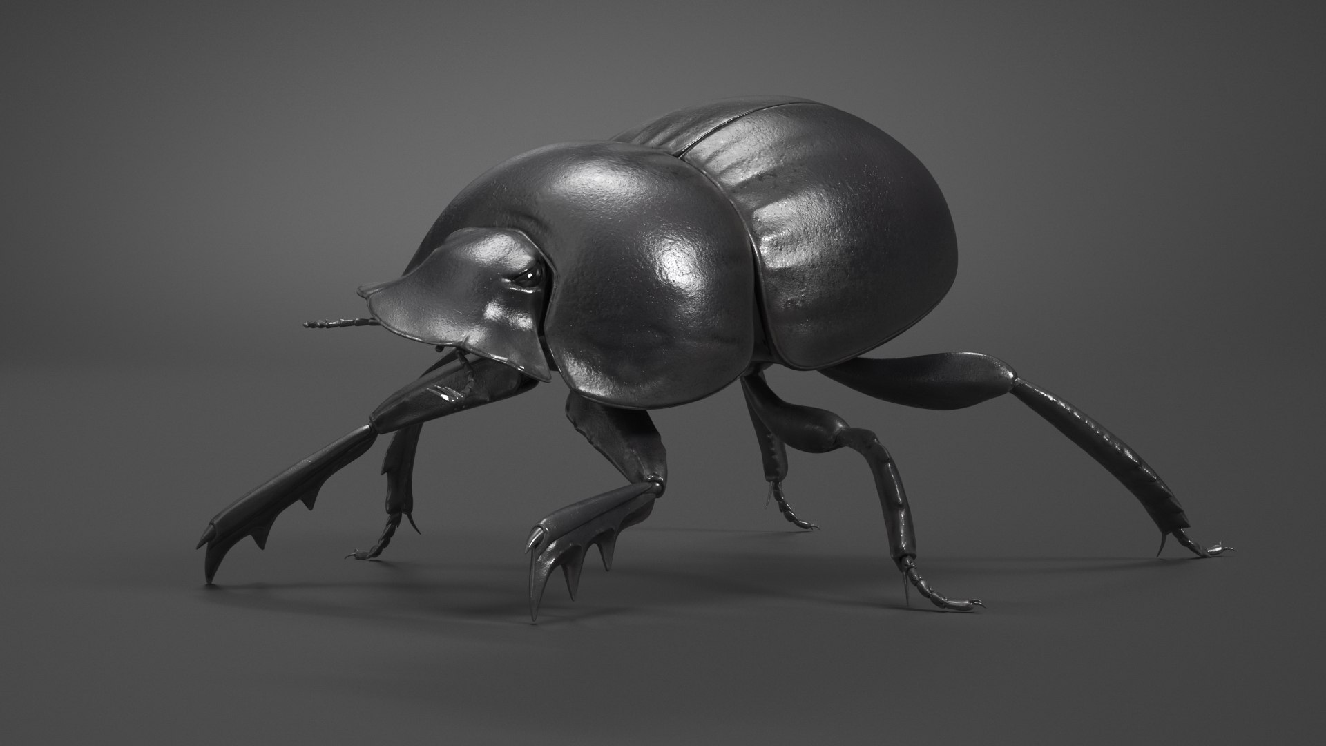 Roller Beetle Rigged 3D Model - TurboSquid 2302784
