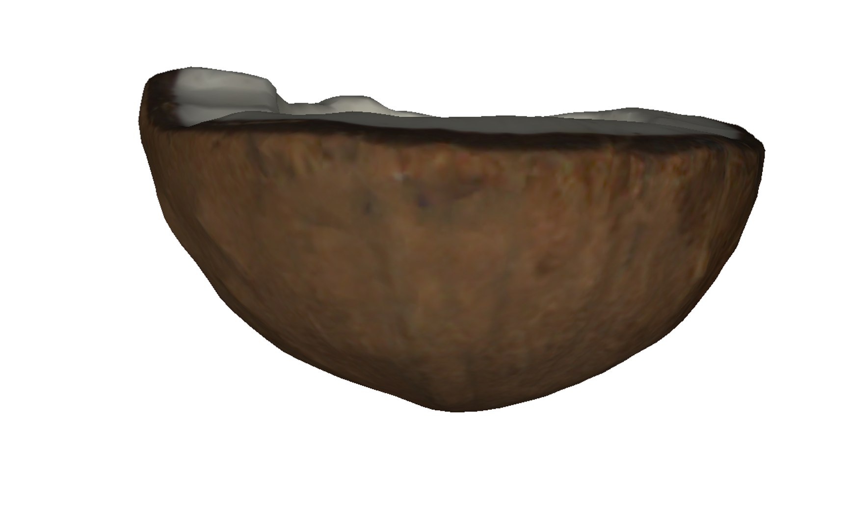 3D Half Coconut Model - TurboSquid 1604099