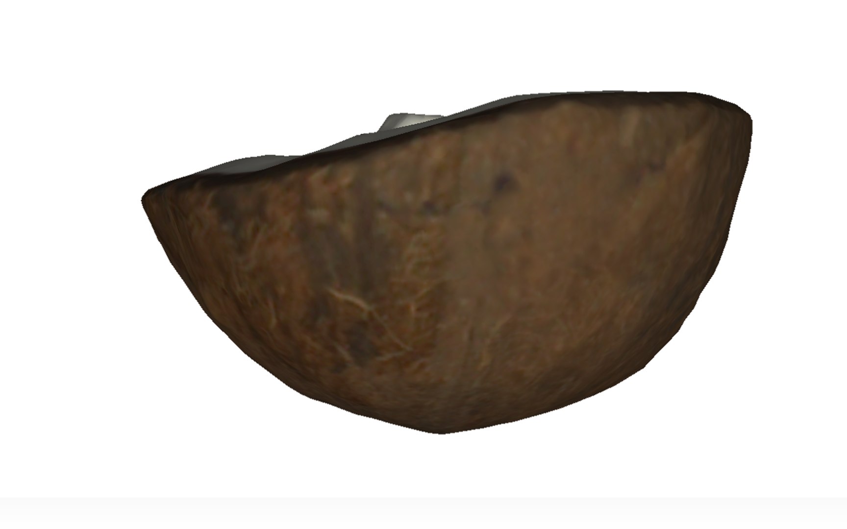 3D Half Coconut Model - TurboSquid 1604099