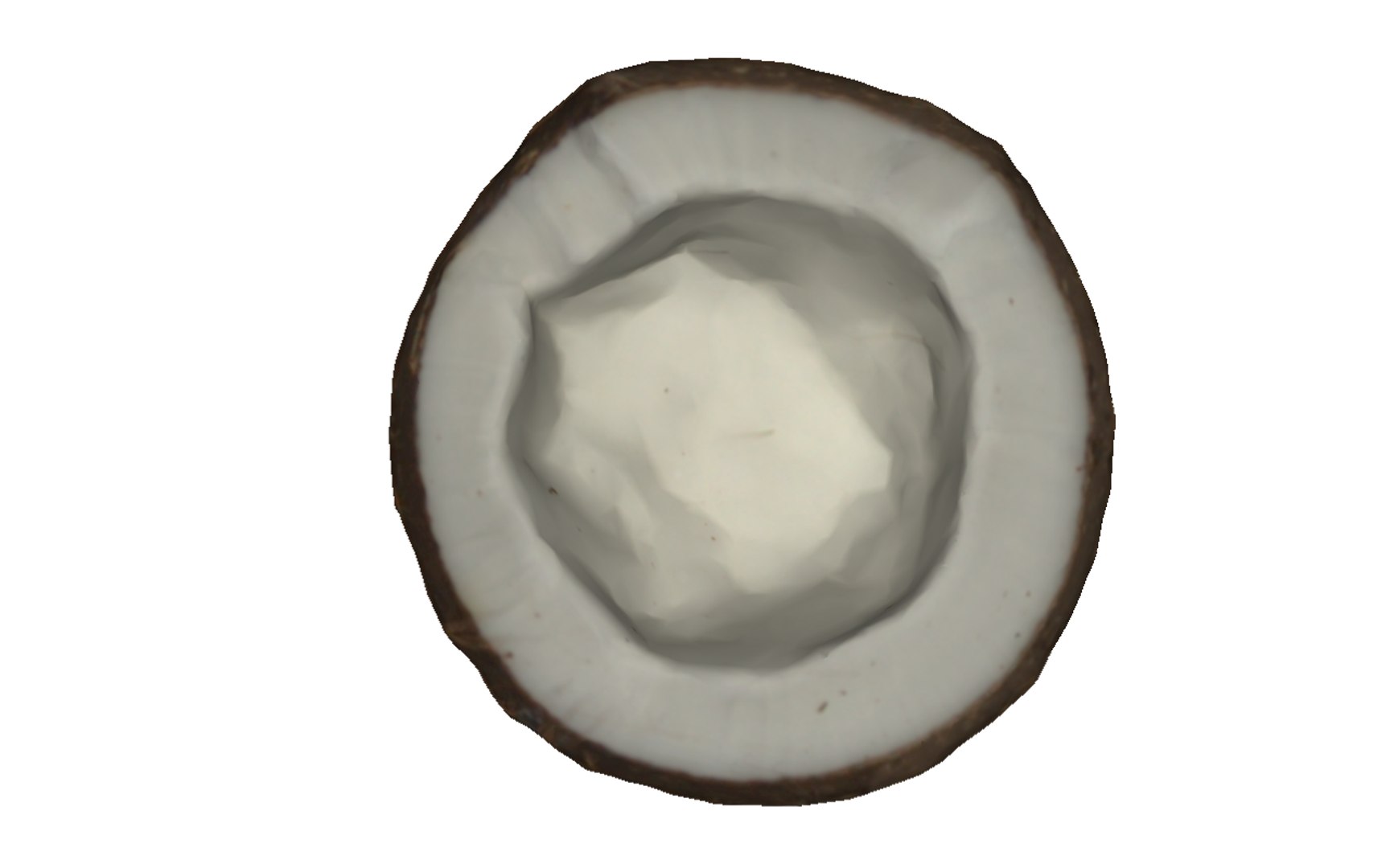 3D Half Coconut Model - TurboSquid 1604099