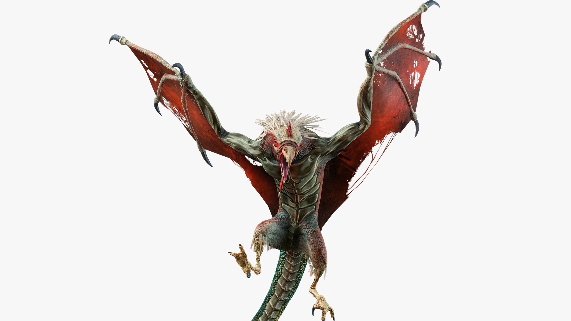 Cockatrice 3D Model - TurboSquid 1722674