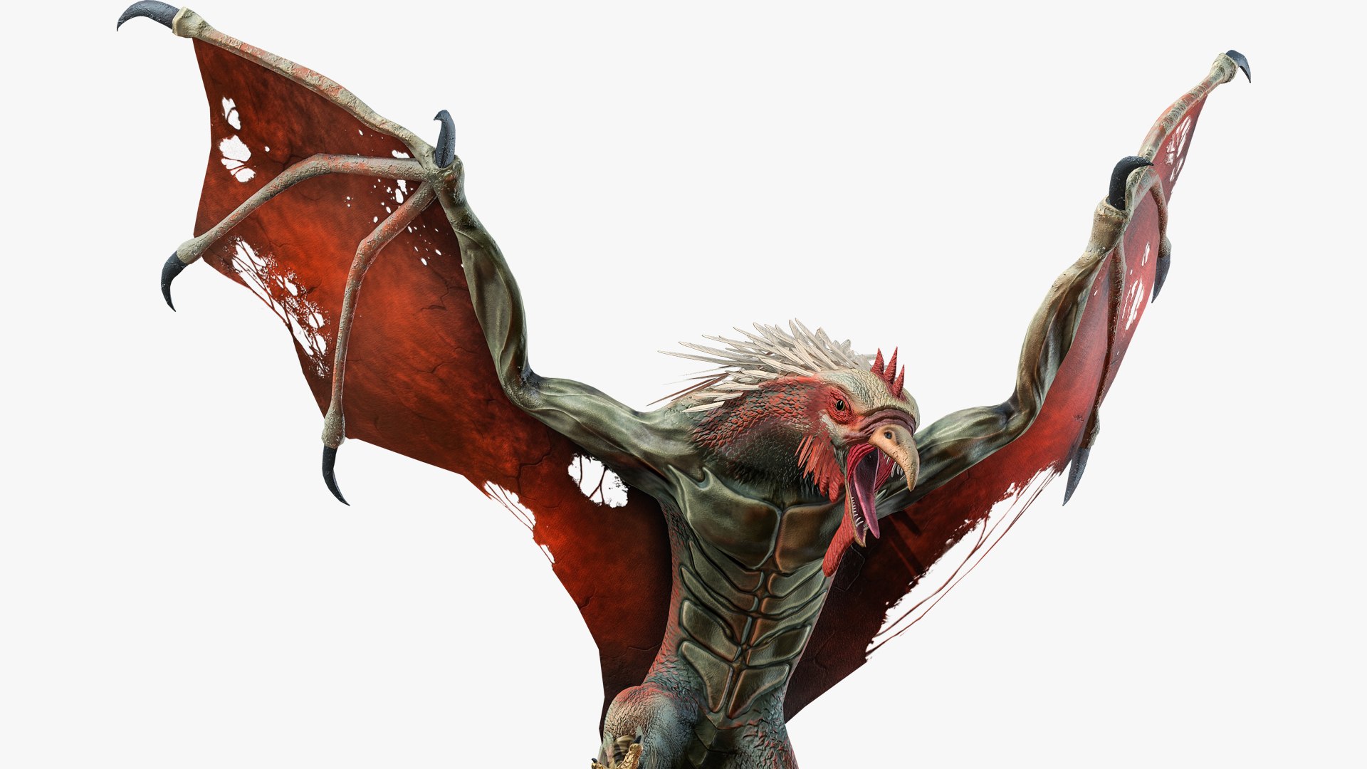 Cockatrice 3D model - TurboSquid 1722674