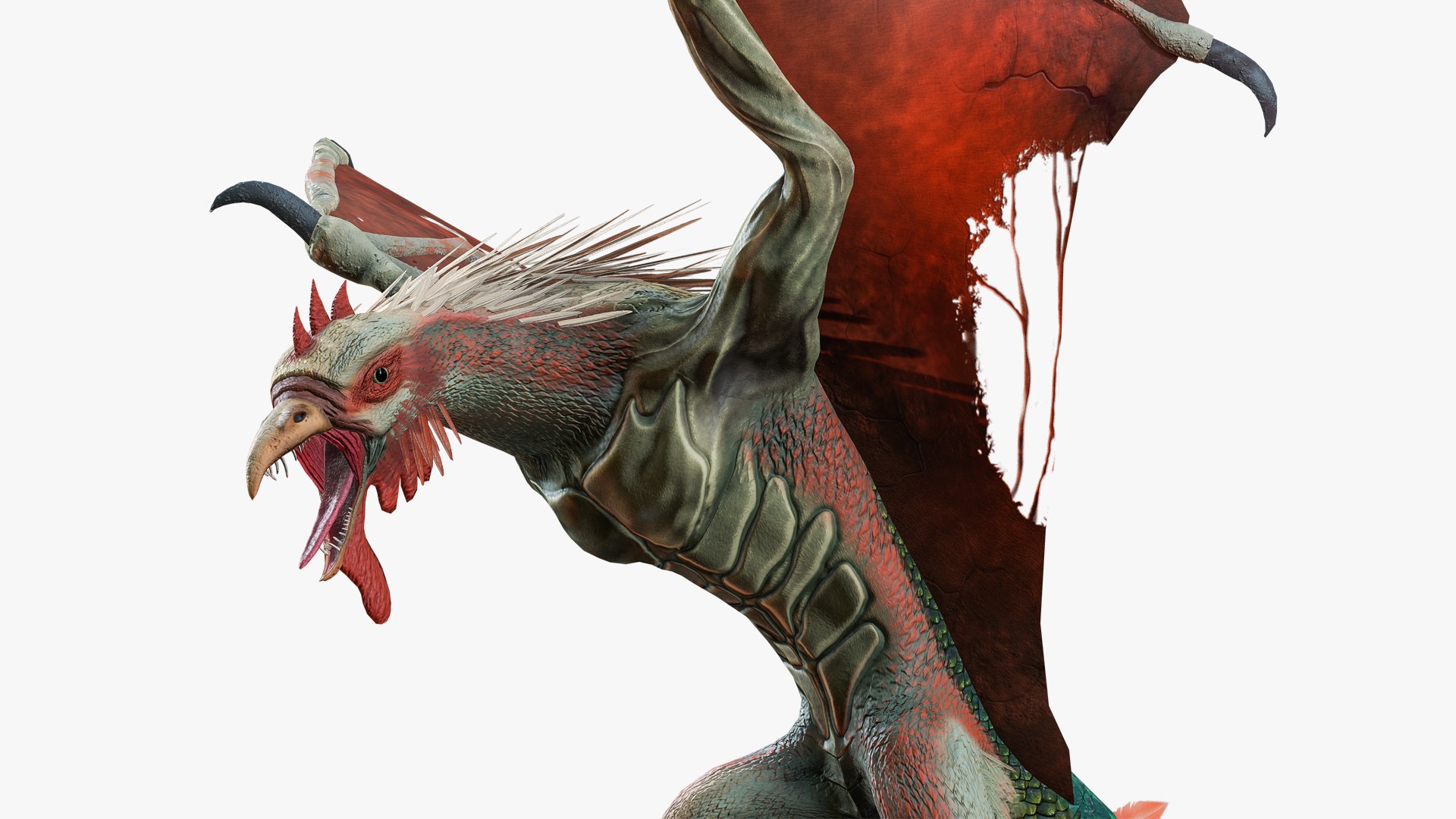 Cockatrice 3D Model - TurboSquid 1722674