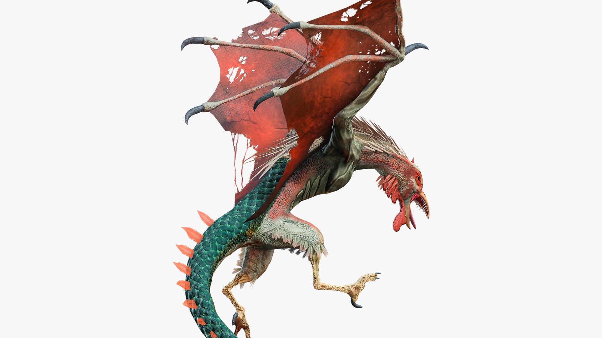 Cockatrice 3D Model - TurboSquid 1722674