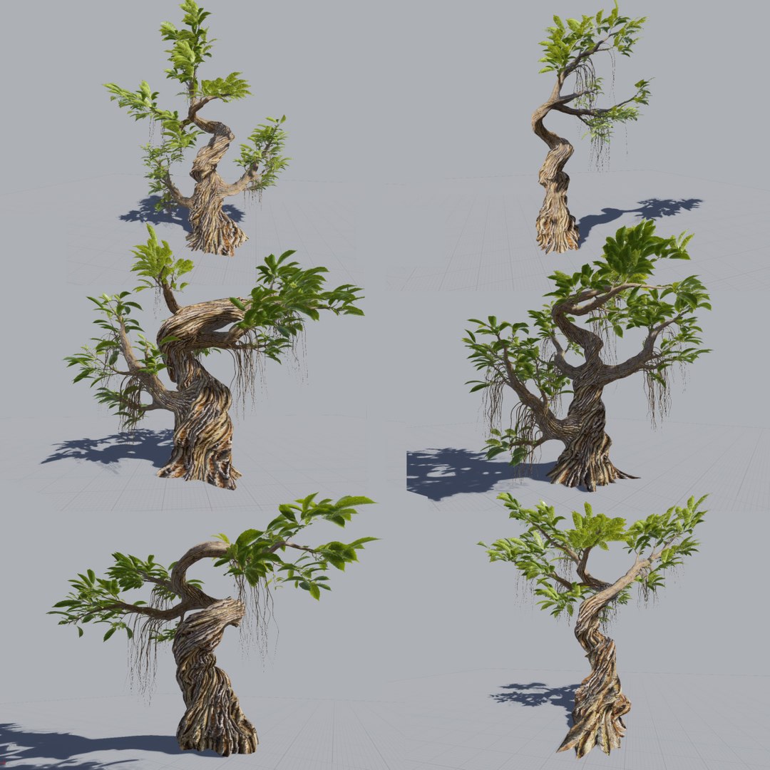 Free 3D 6 Trees collection - TurboSquid 1750898