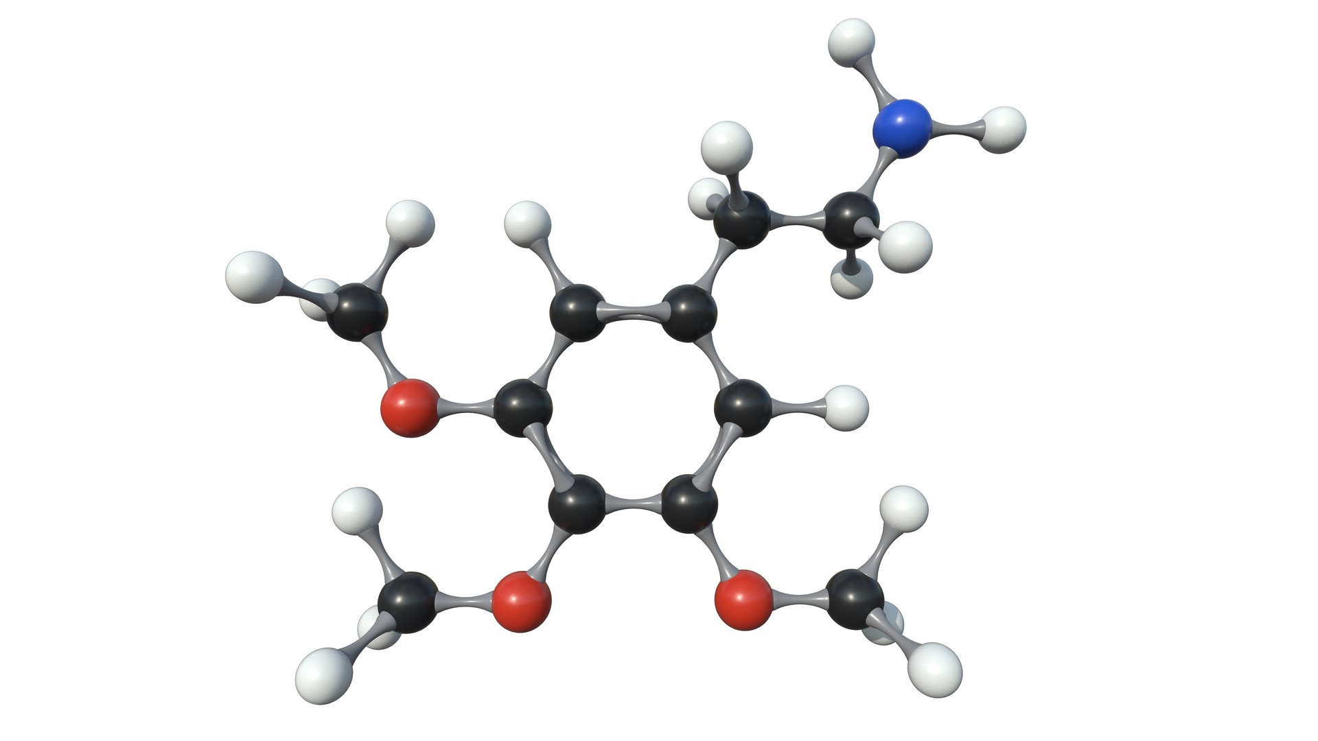 3D Mescaline Molecule With PBR 4K 8K - TurboSquid 1944527