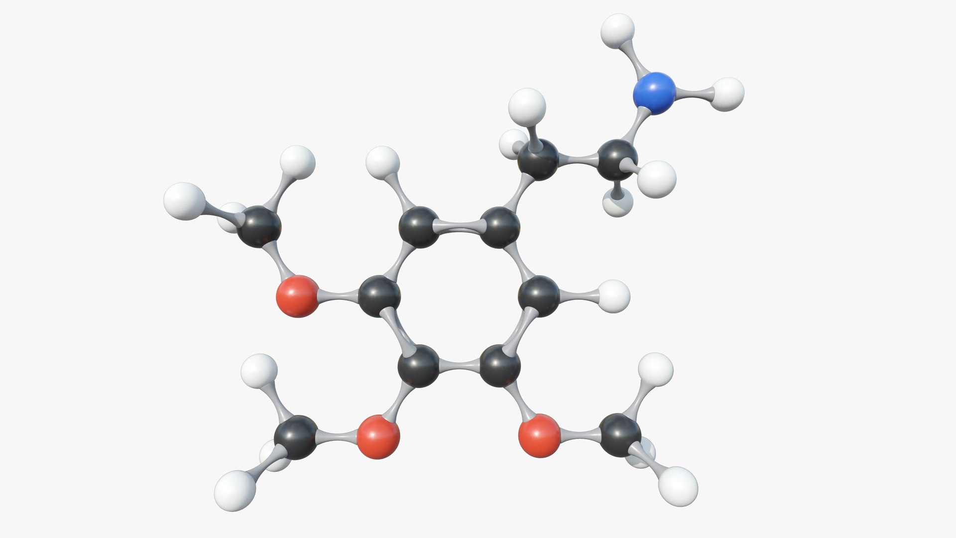 3D Mescaline Molecule With PBR 4K 8K - TurboSquid 1944527