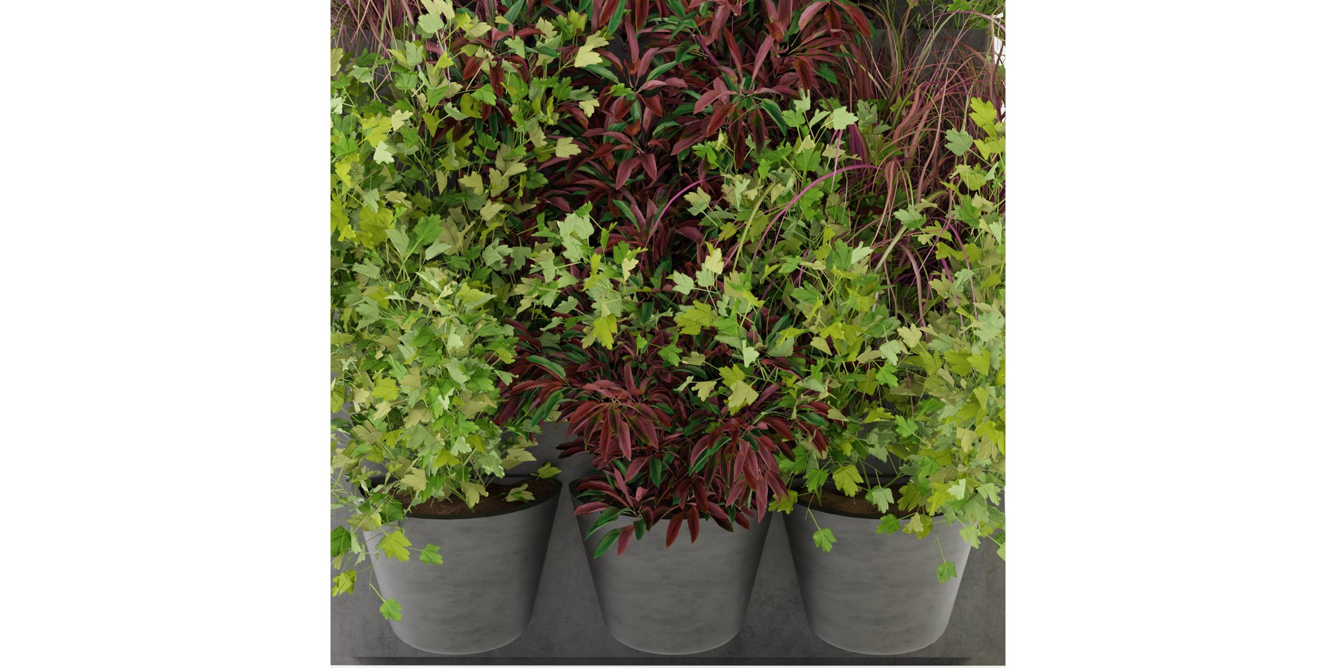 Collection Plant Vol 243 - Blender Model 3D Model - TurboSquid 2088250