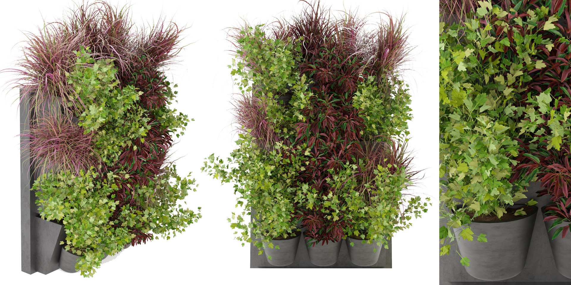 Collection Plant Vol 243 - Blender Model 3D Model - TurboSquid 2088250