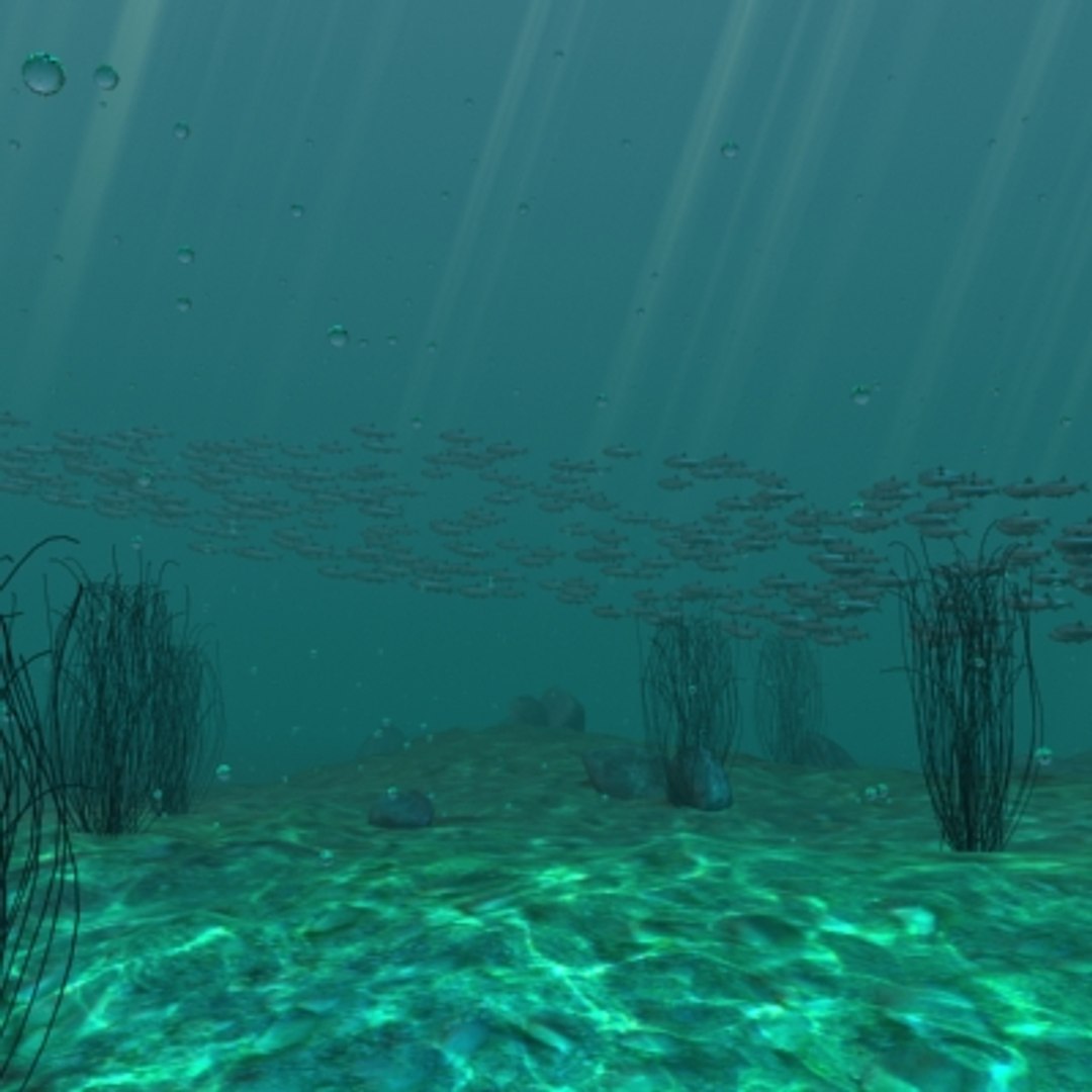 Underwater Scene 3d Model