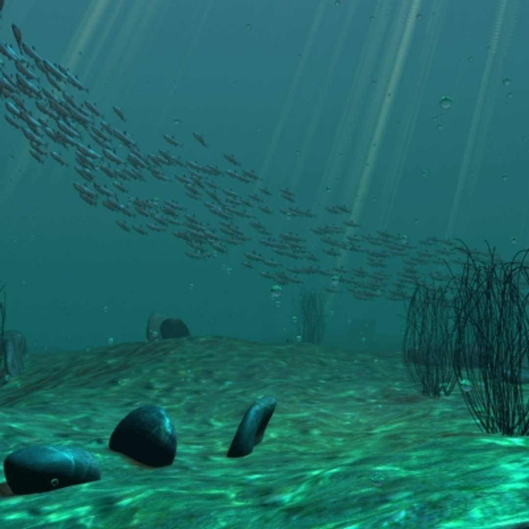 Underwater Scene 3d Model