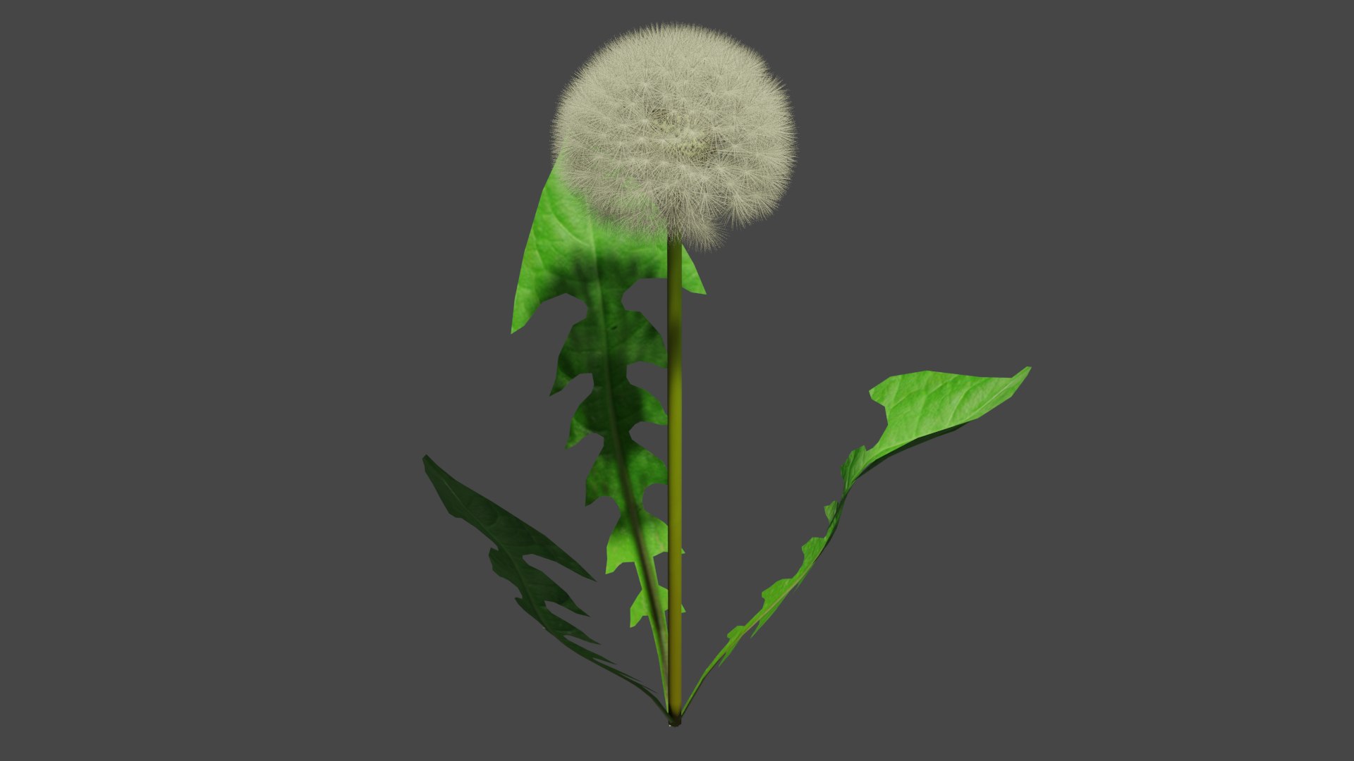 3D Flowers Collection - TurboSquid 1817182