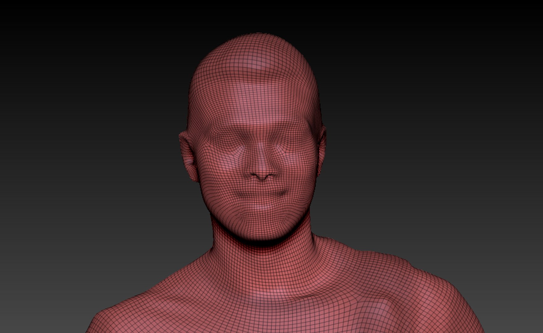 Human Character Body 3D Model - TurboSquid 1592052