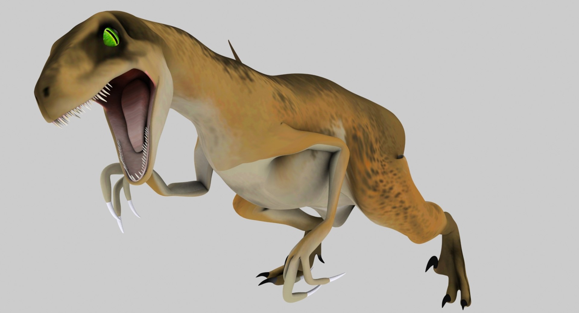 Raptor 3d Model