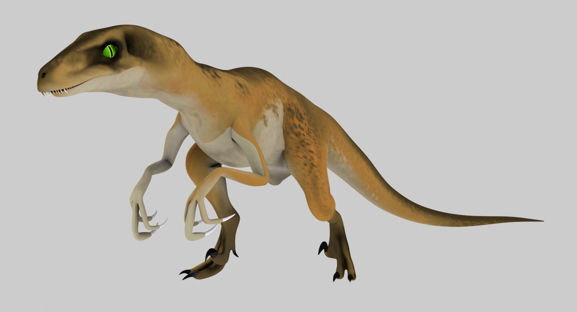 Raptor 3d Model
