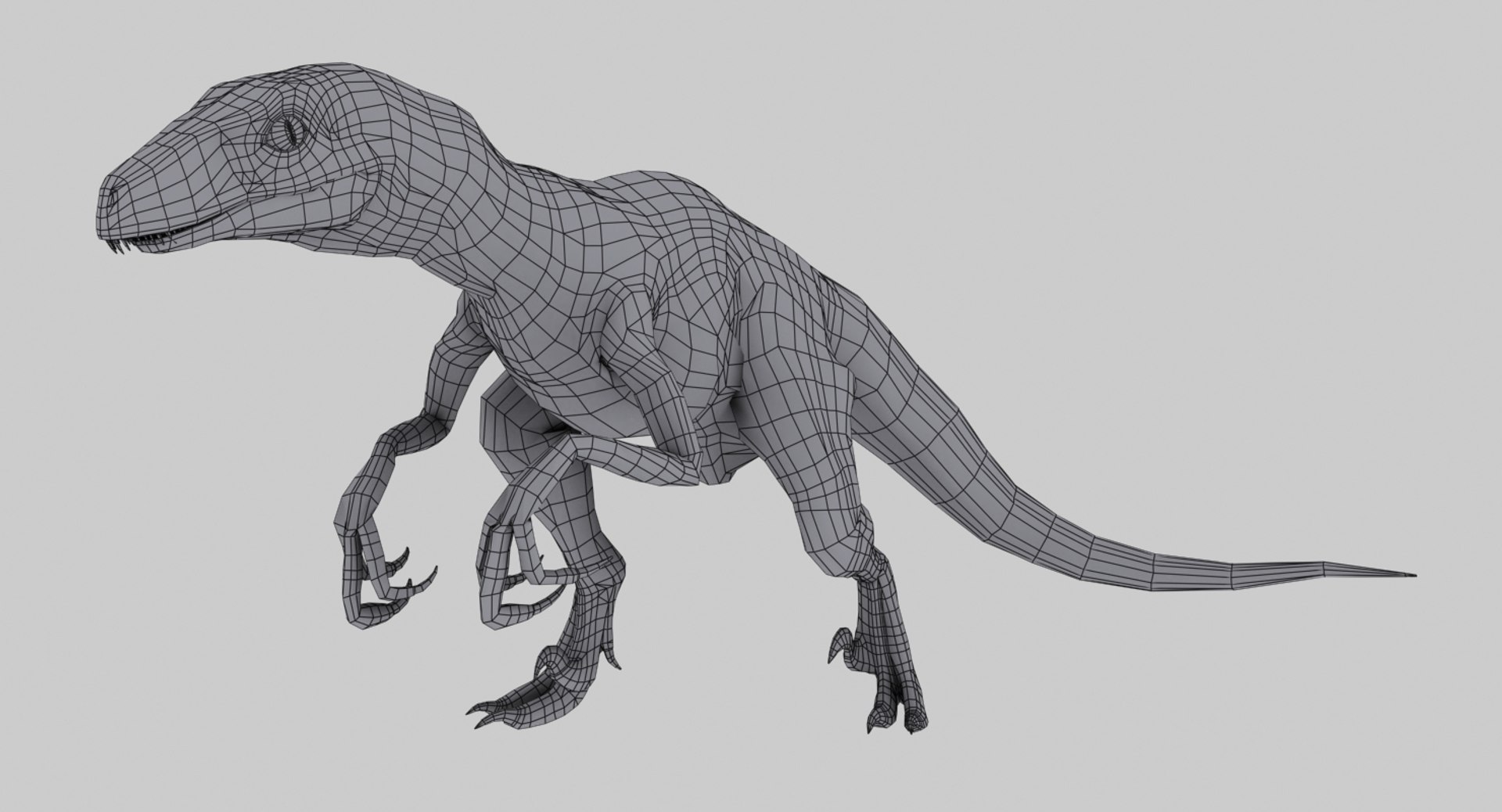Raptor 3d Model