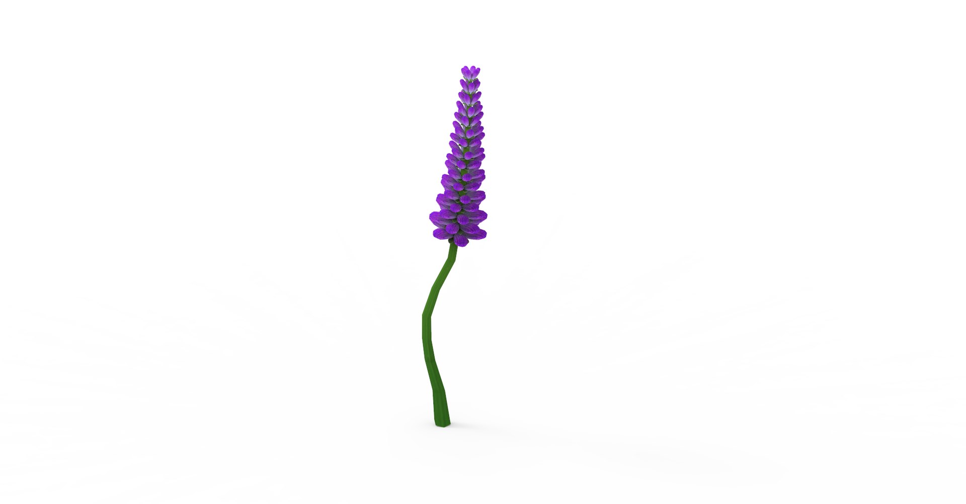 Lavender LowPoly Model - TurboSquid 1852152