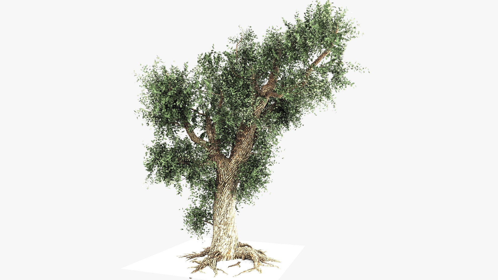 3D Beautiful Tree - TurboSquid 2006651