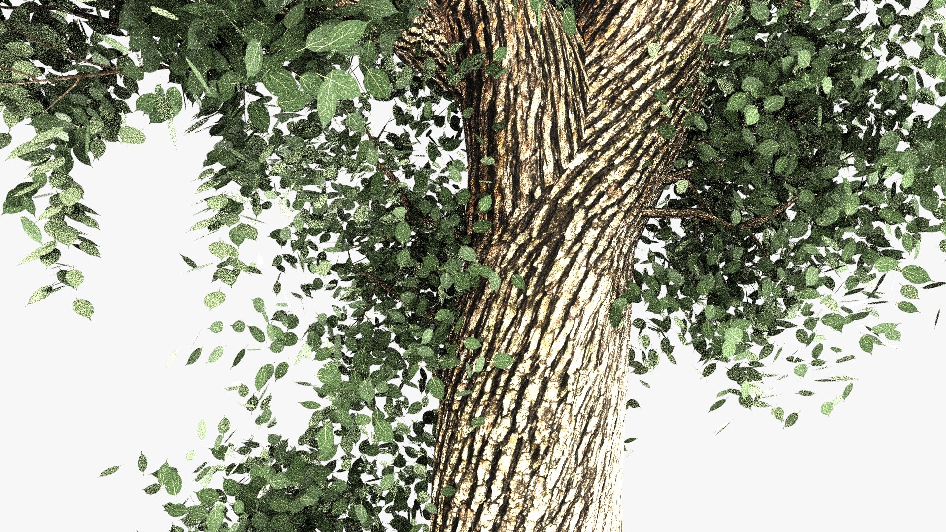 3D Beautiful Tree - TurboSquid 2006651