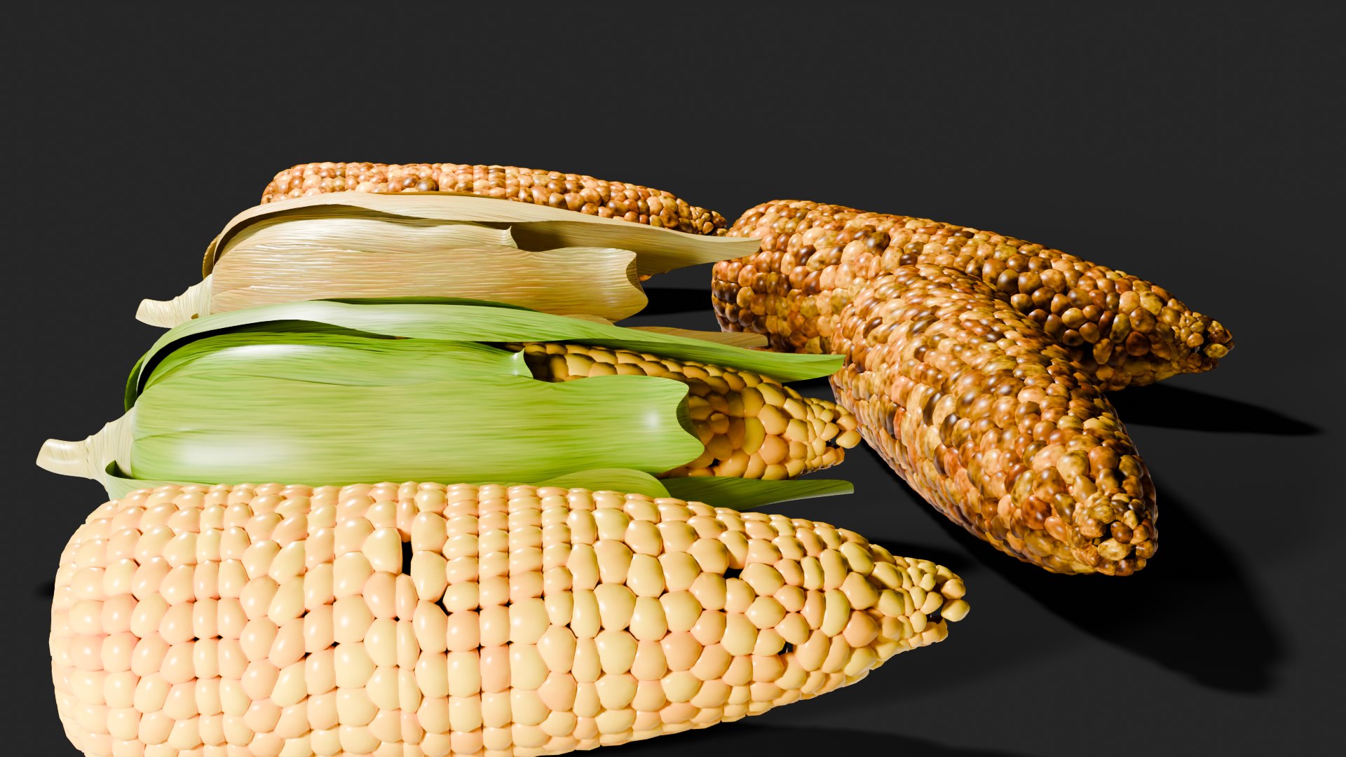 3D Realistic roasted Corn maize pbr - TurboSquid 2173728