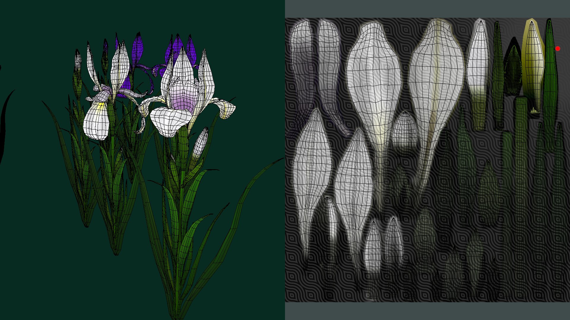 3D Flower Iris - TurboSquid 2132121