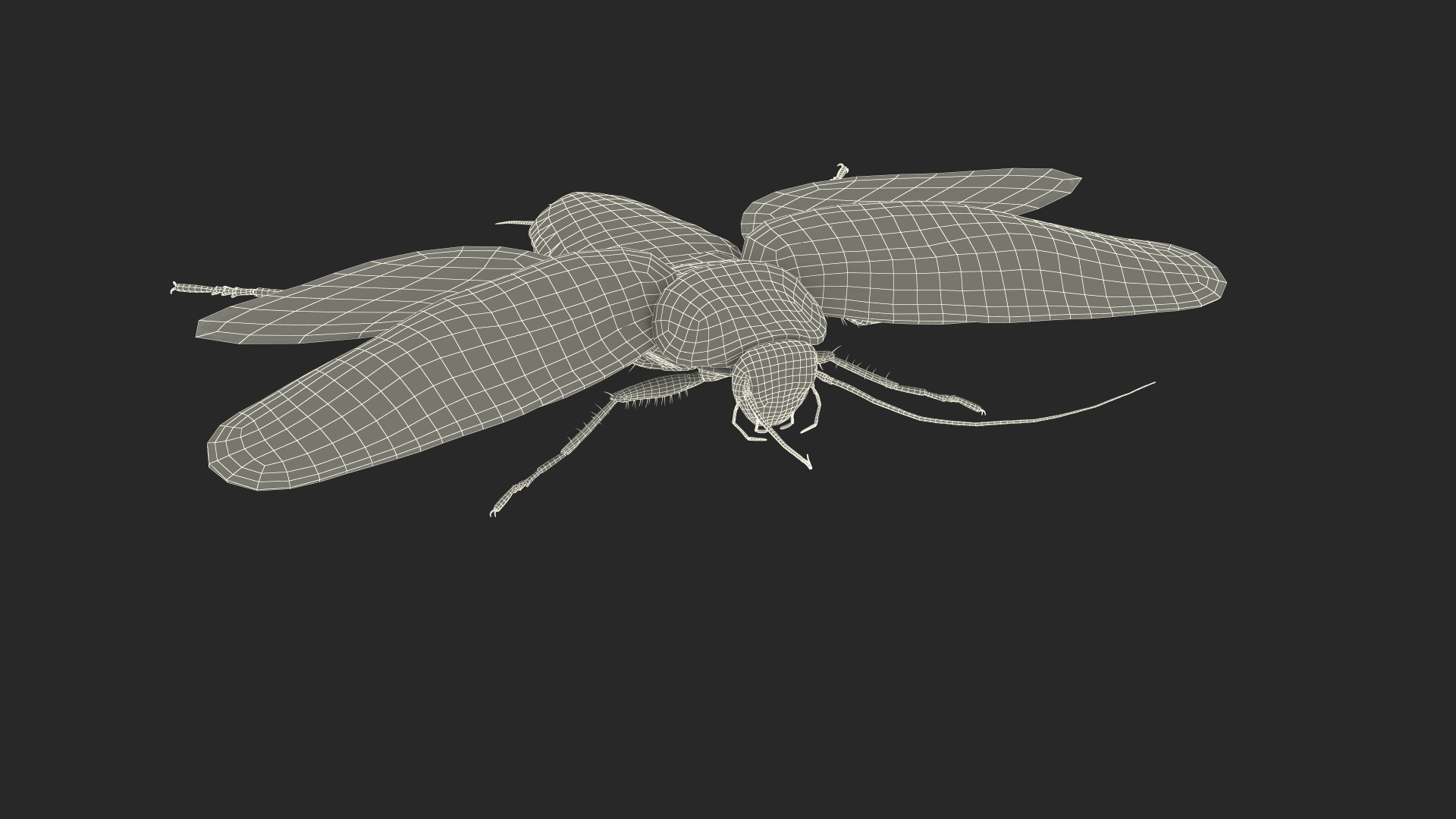Flying Cockroach Rigged For Cinema 4D 3D Model - TurboSquid 2089077