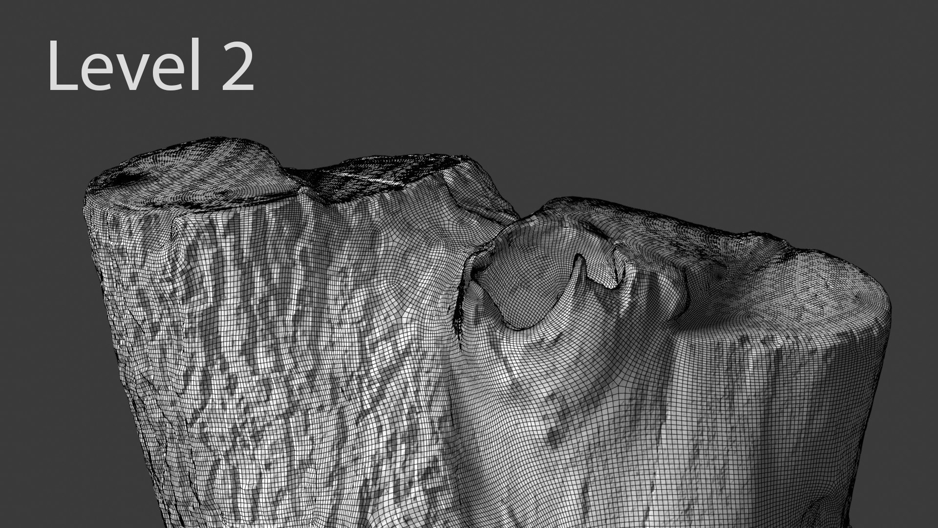 Tree Stump 004 3d Scan 3D Model - TurboSquid 2111491