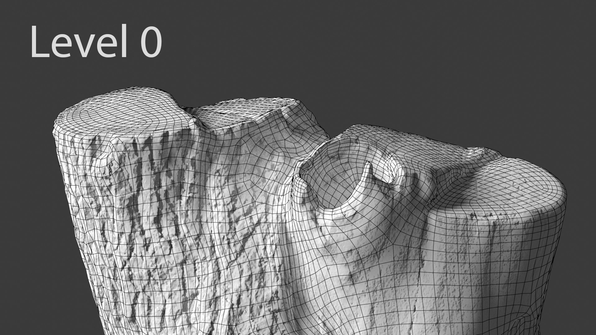 Tree Stump 004 3d Scan 3D Model - TurboSquid 2111491