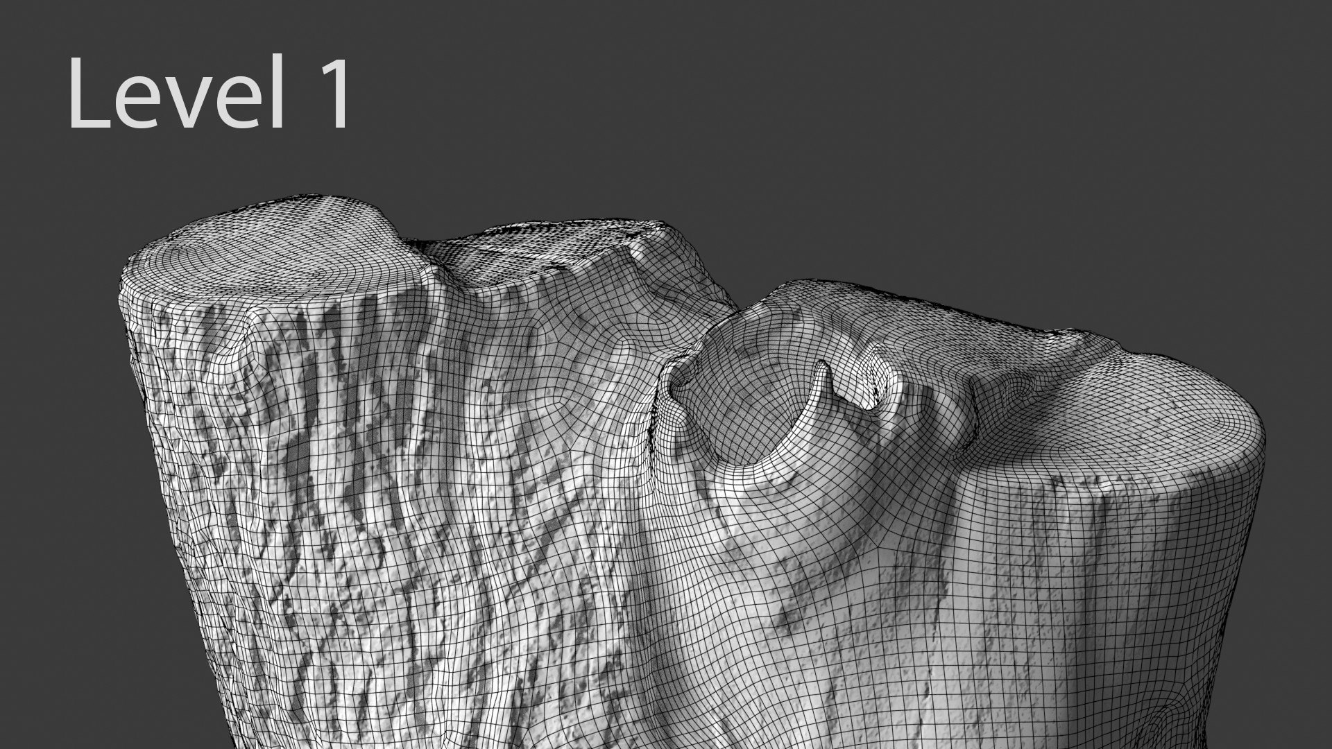 Tree Stump 004 3d Scan 3D Model - TurboSquid 2111491