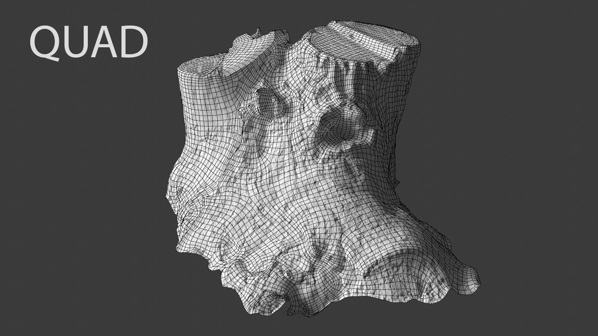 Tree Stump 004 3d Scan 3D Model - TurboSquid 2111491