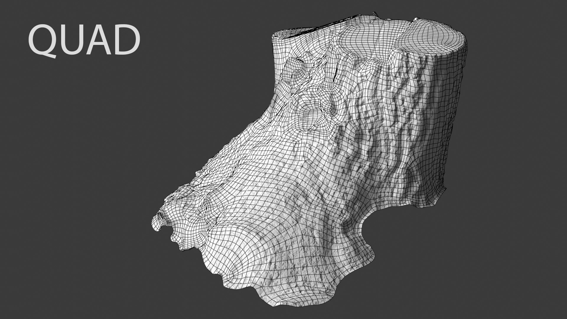 Tree Stump 004 3d Scan 3D Model - TurboSquid 2111491