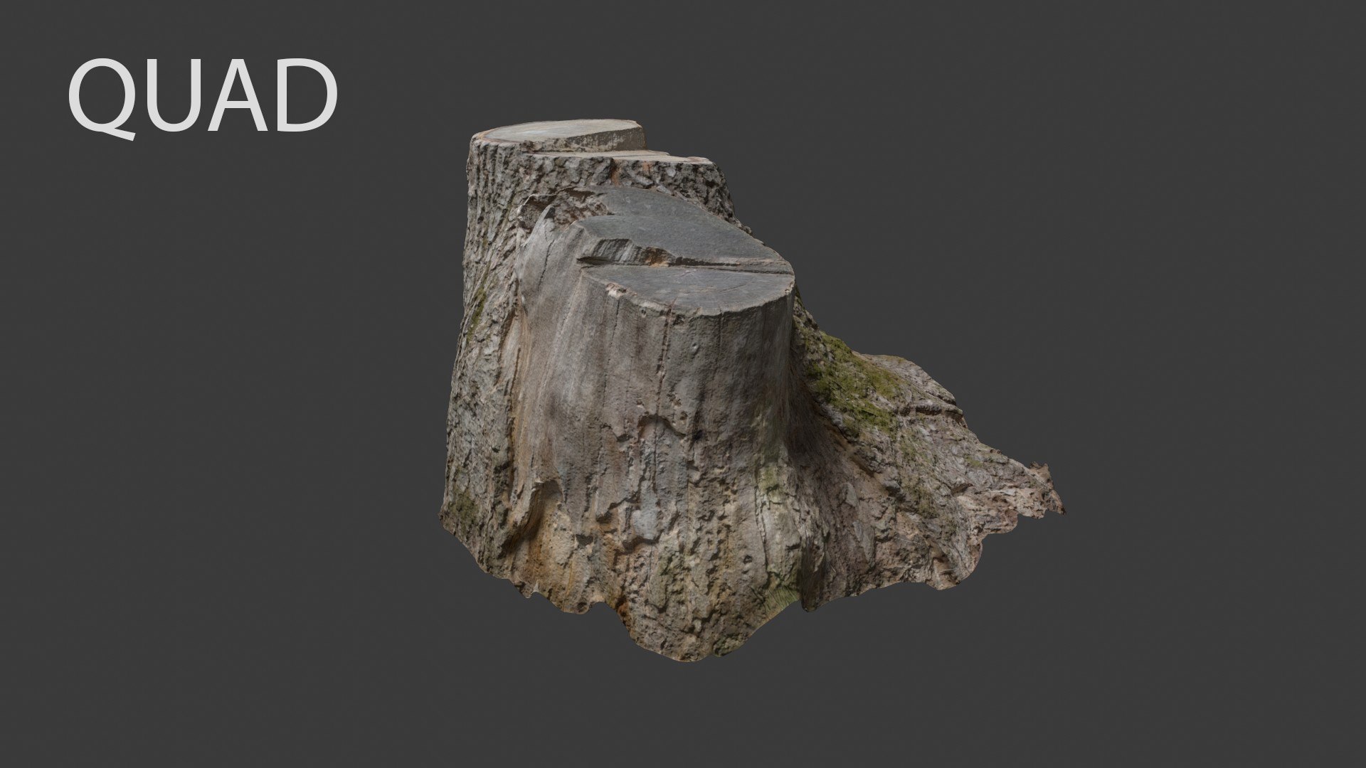 Tree Stump 004 3d Scan 3D Model - TurboSquid 2111491