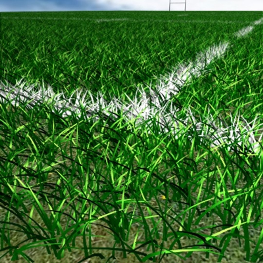 3d Model Rugby Field Grass