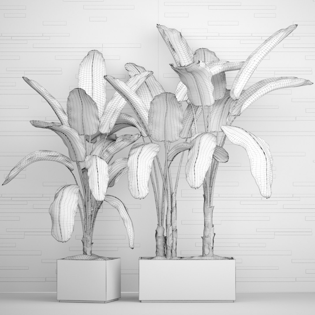 Banana Tree Set 3D Model - TurboSquid 1167649