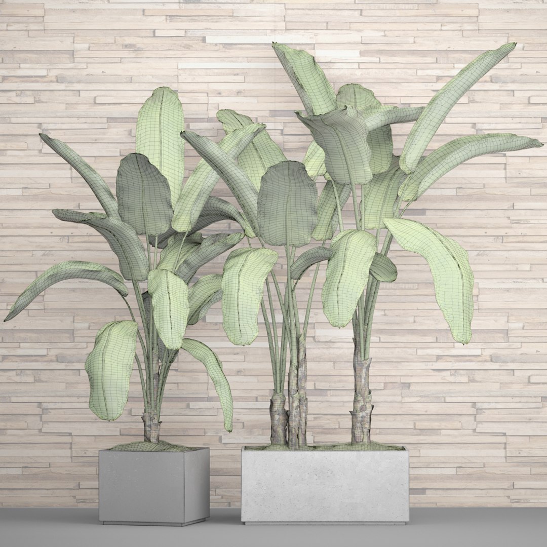 Banana Tree Set 3D Model - TurboSquid 1167649