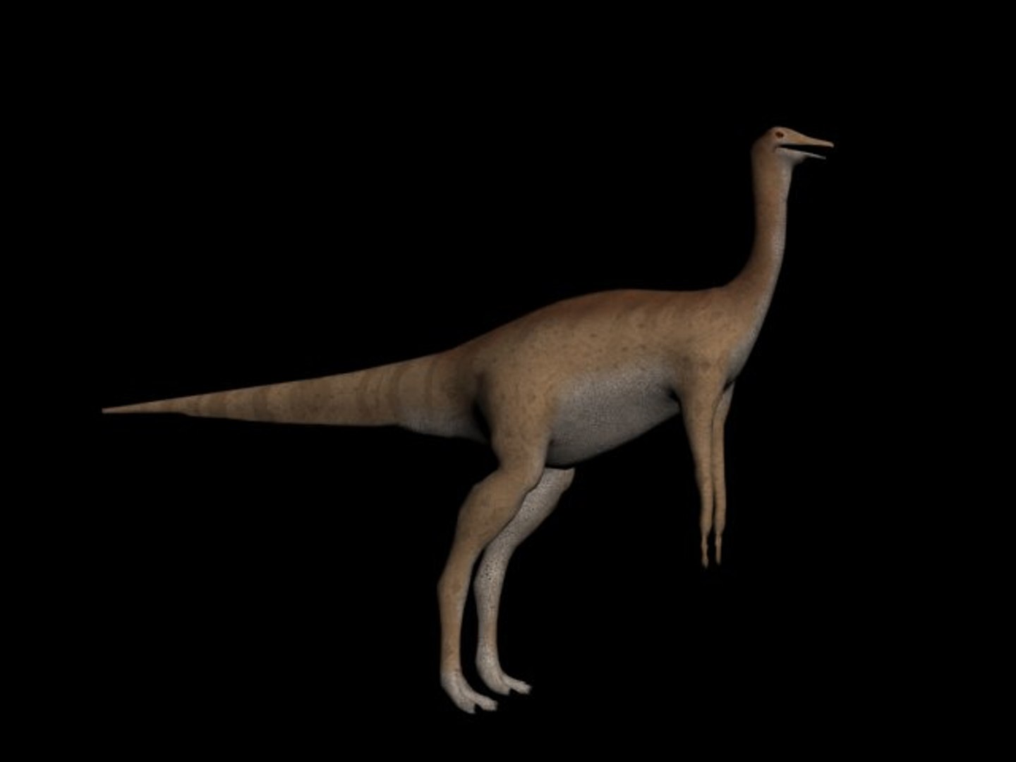 3d Gallimimus Model