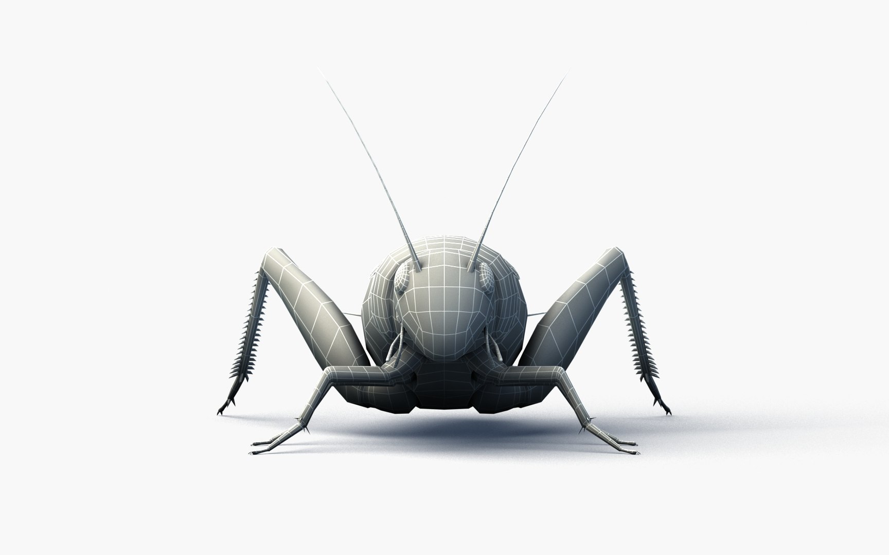3D cricket nature bug model - TurboSquid 1680354