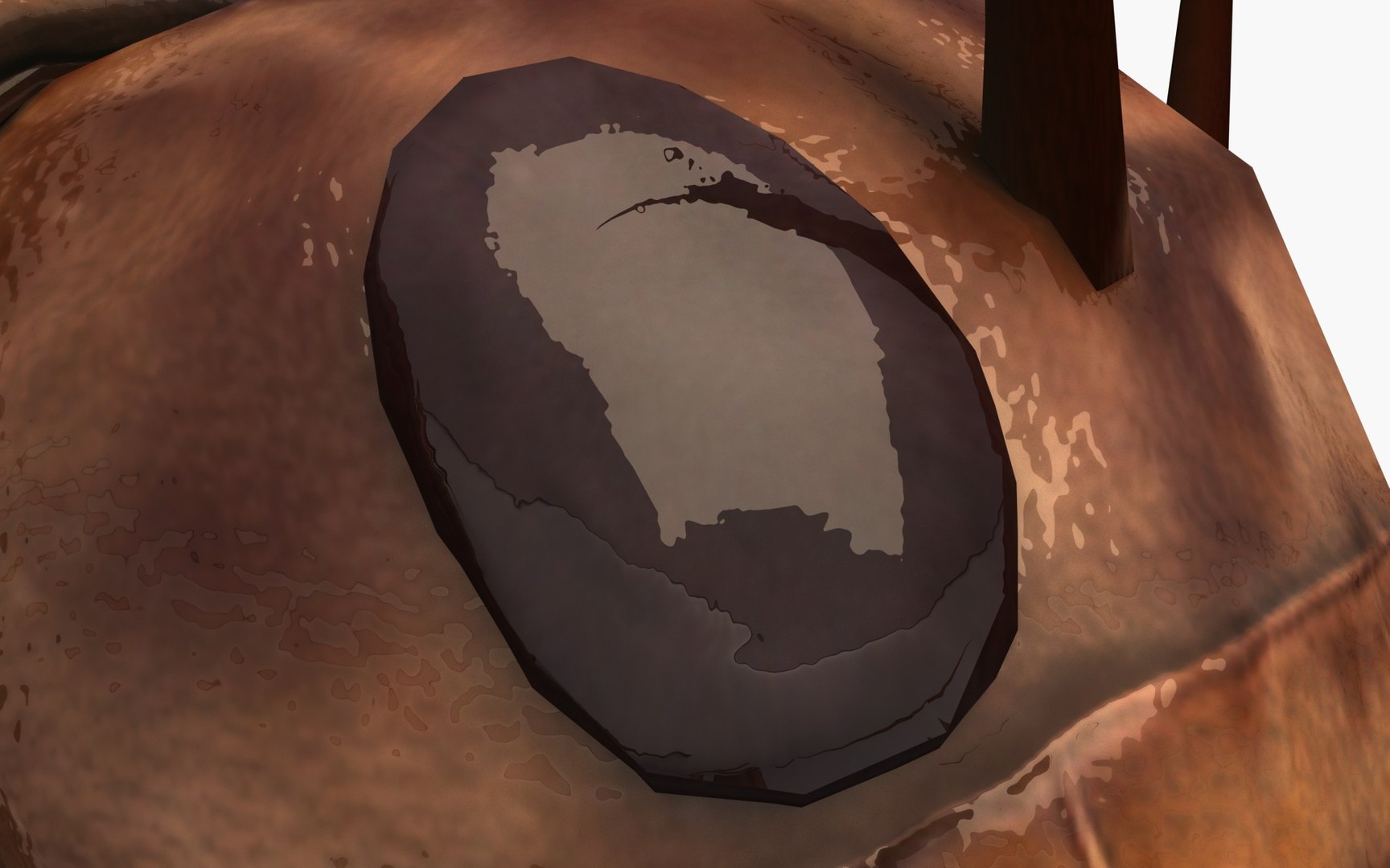 3D cricket nature bug model - TurboSquid 1680354