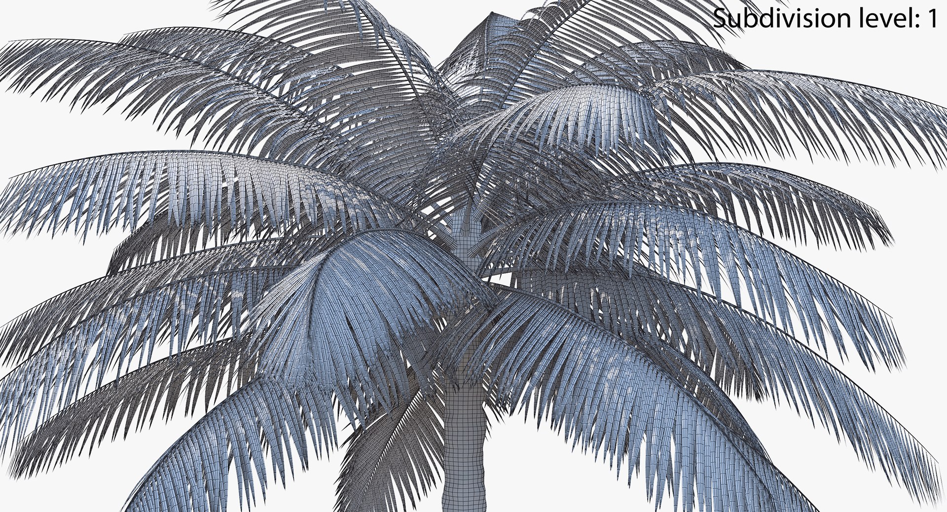 Palm 02 3D model - TurboSquid 1393583