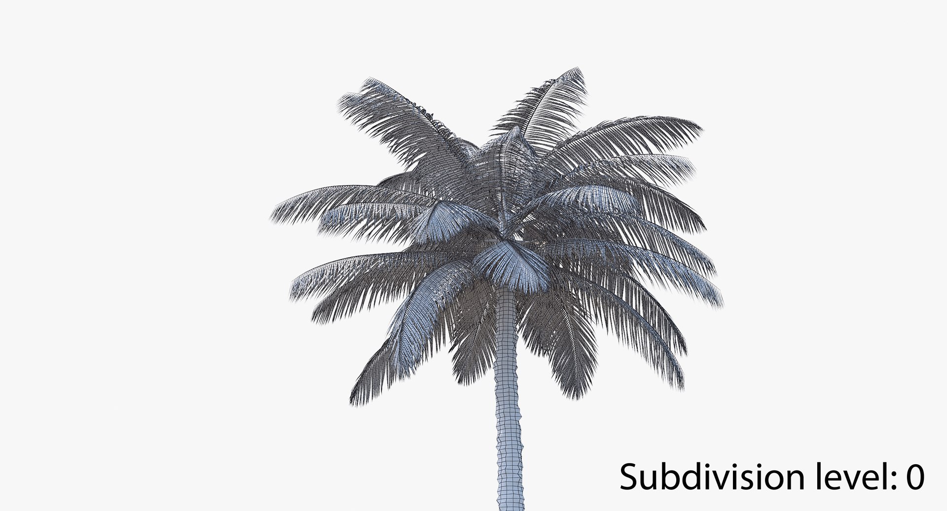 Palm 02 3D Model - TurboSquid 1393583
